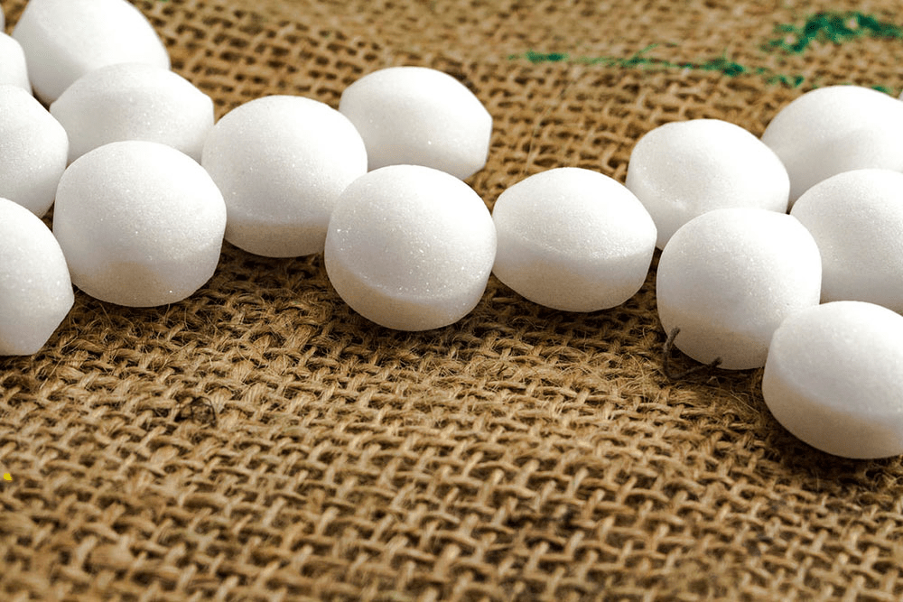 How To Get Rid Of Squirrels In The Attic Mothballs: Guide